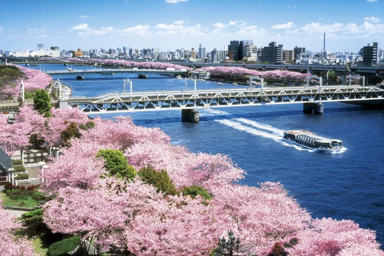 Strolling on the banks of the Sumida River from Azuma-Bashi Bridge to ...
