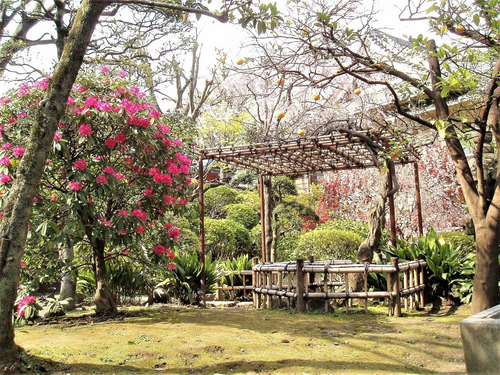 Strolling on the banks of the Sumida River from Azuma-Bashi Bridge to ...